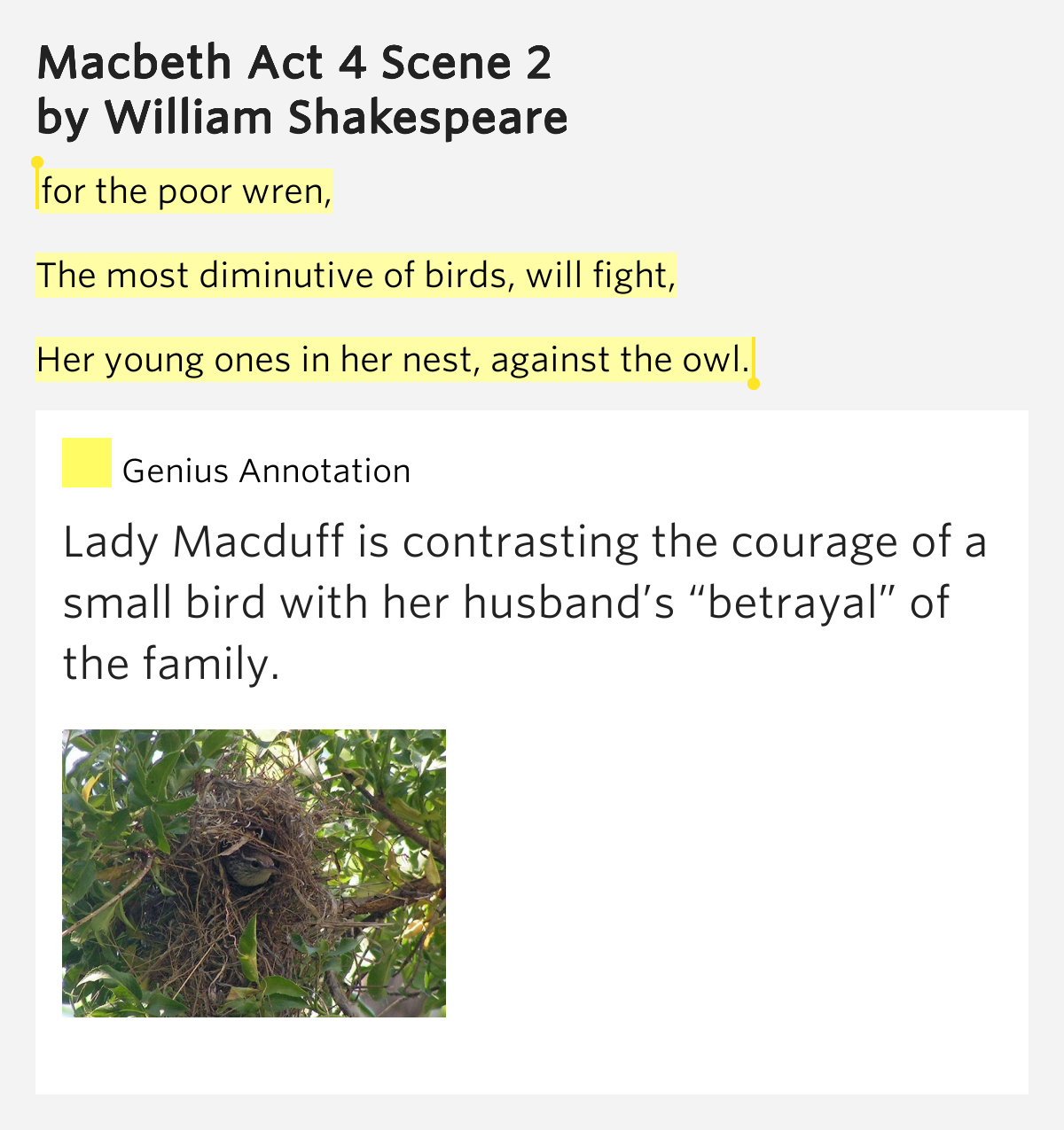 For the poor wren, / The most diminutive.. – Macbeth Act 4 Scene 2