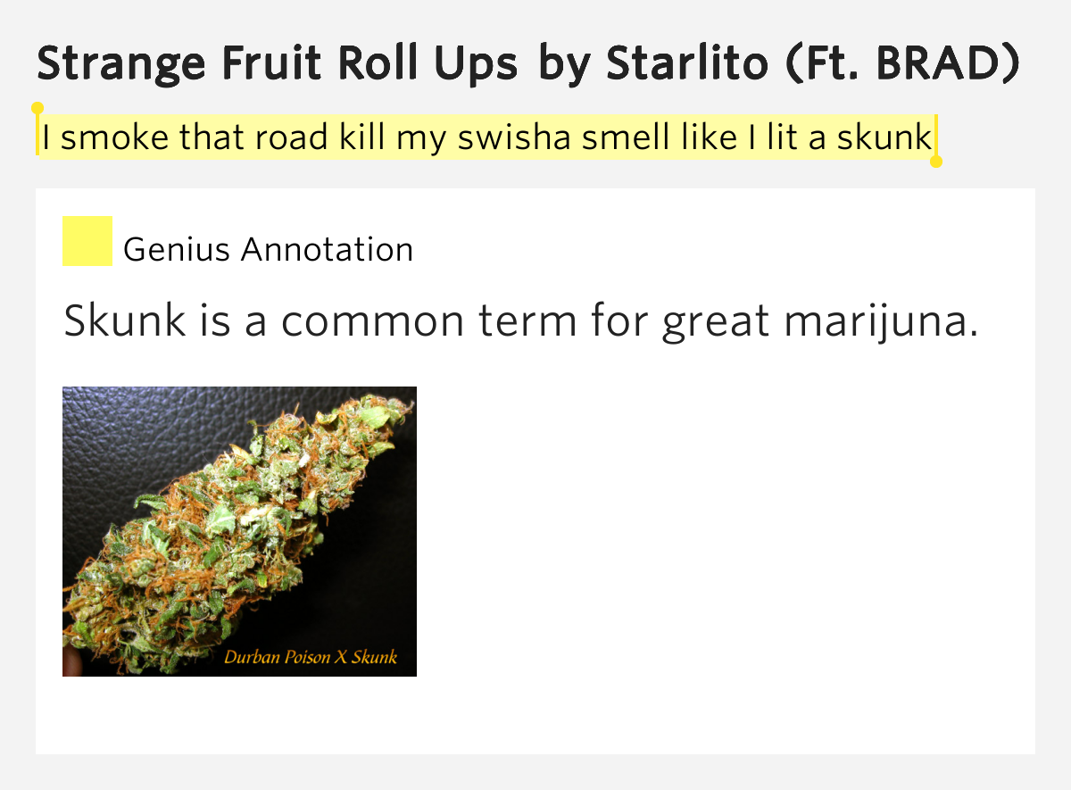 I Smoke That Road Kill My Swisha Smell Like I Lit A Skunk Strange i-smoke-that-road-kill-my-swisha-smell-like-i-lit-a-skunk-strange