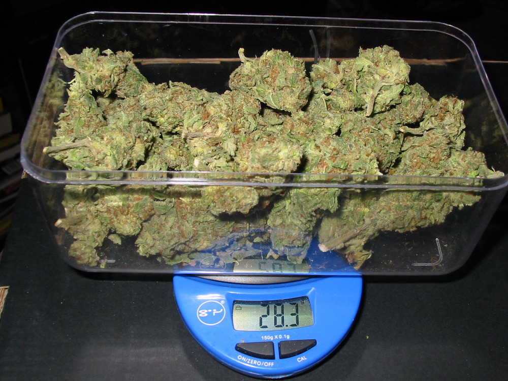 Man I m So High Next Time We Won t Smoke All Of The What Up