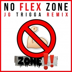 No Flex Zone Album Cover