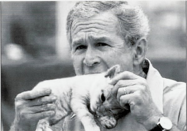 --BREAKING NEWS- Picture of George W Bush Biting Hopsin. | Genius