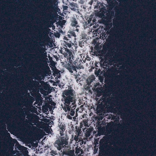 Chris Travis – Red Roses Lyrics | Genius Lyrics