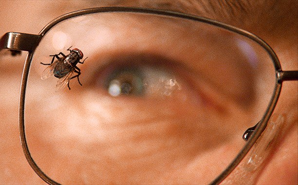 Breaking Bad – Fly | Genius