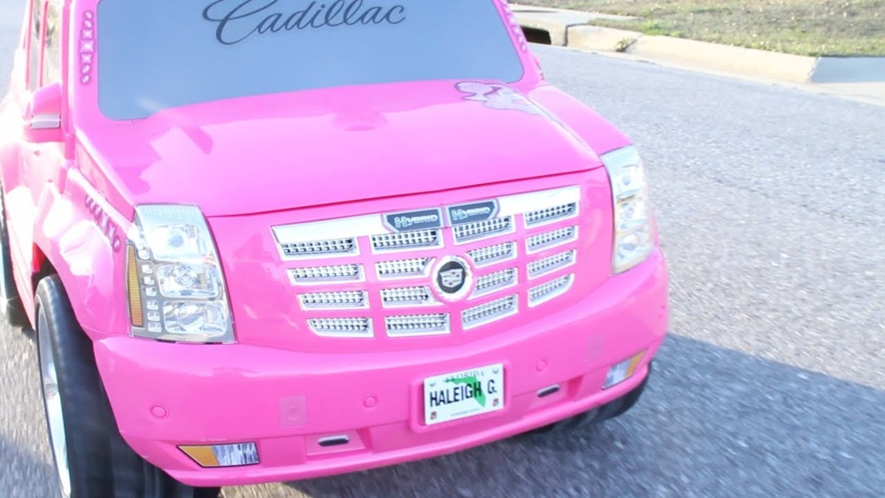 Toad & Ray Cheesy – Pink Escalade Lyrics | Genius Lyrics