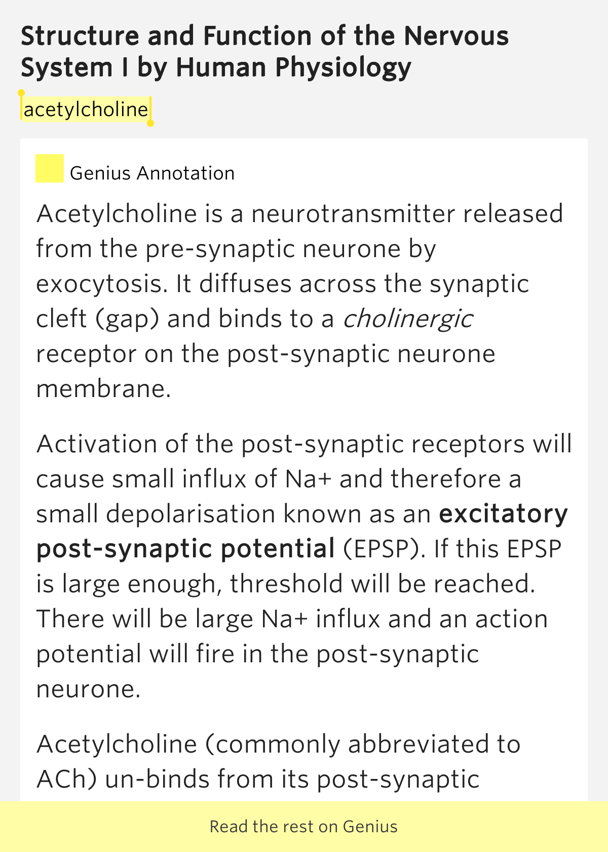 Acetylcholine – Structure and Function of the Nervous System I Meaning
