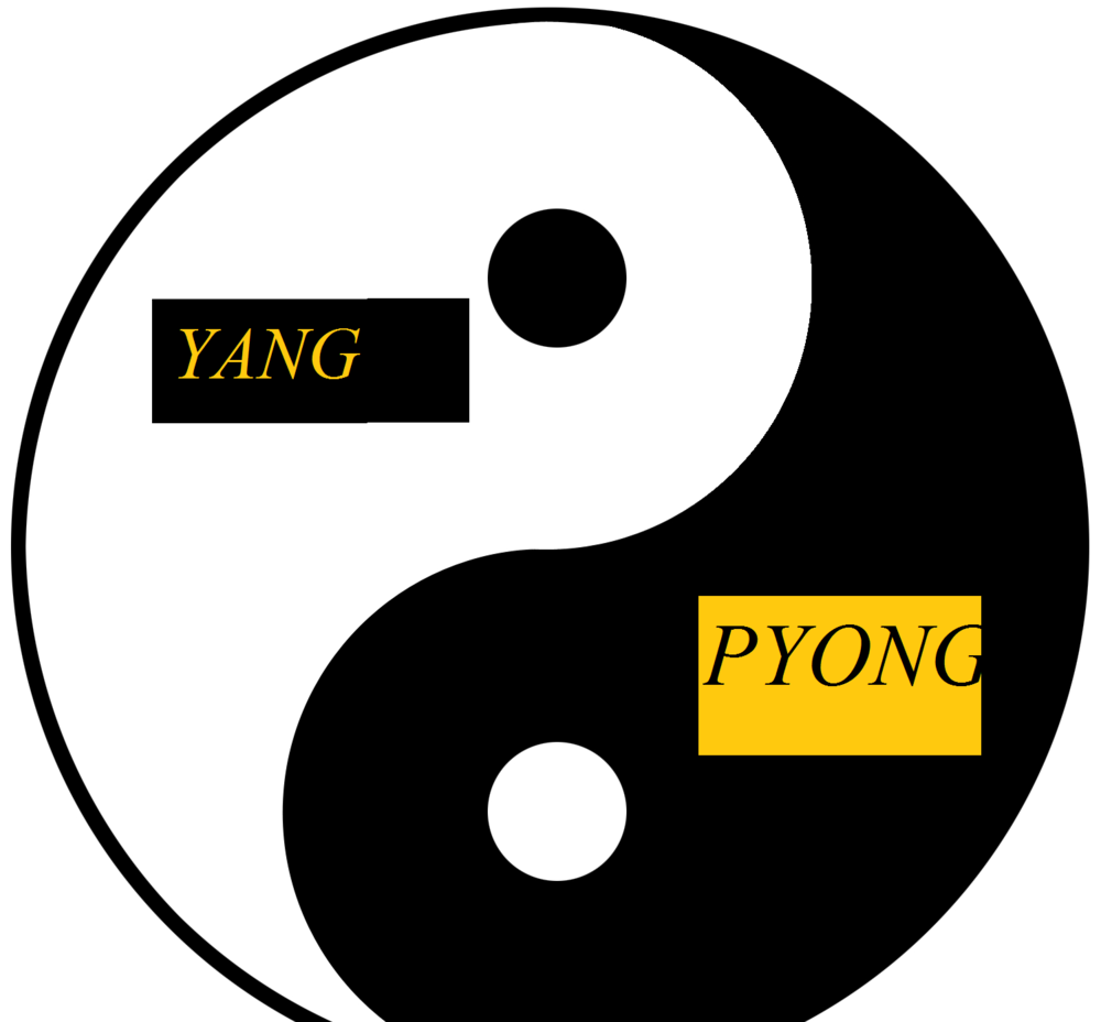 Proposal: the Pyong-Yang | Genius