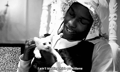 Favorite Music GIFs! | Genius