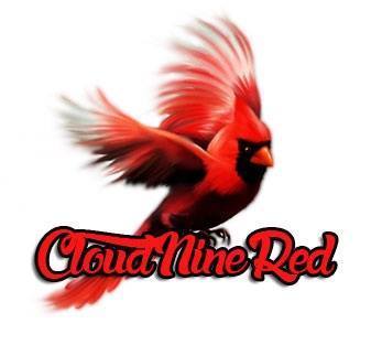 Cloud Nine Red – Instincts (Trust Nobody) Lyrics | Genius Lyrics