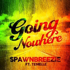 Spawnbreezie – Going Nowhere Lyrics | Genius Lyrics