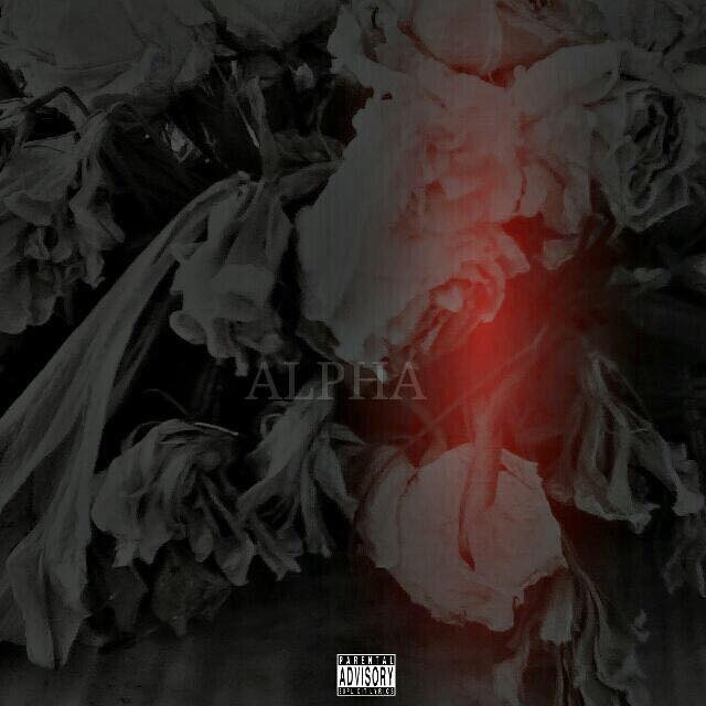 Alpha Beats – New Anthem Lyrics | Genius Lyrics