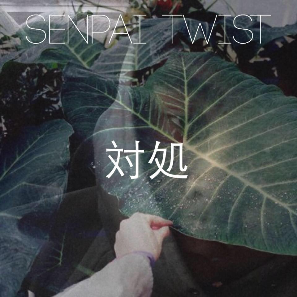 Senpai Twist – Check (Remix) Lyrics | Genius Lyrics