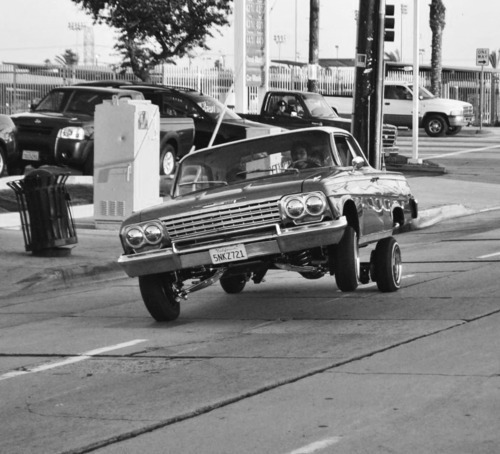 Any level lift anyone? | Ford Powerstroke Diesel Forum