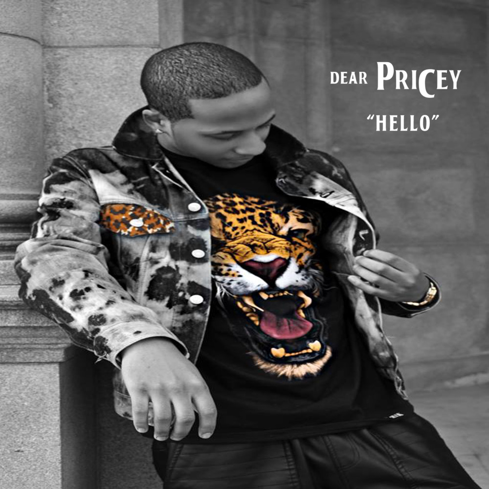 Dear Pricey – Hello Lyrics | Genius Lyrics