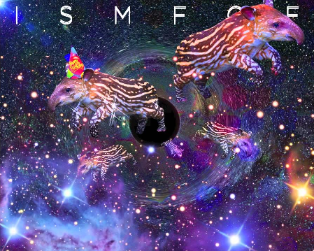 I Set My Friends On Fire – My Little Cabbage Planetarium Lyrics ...