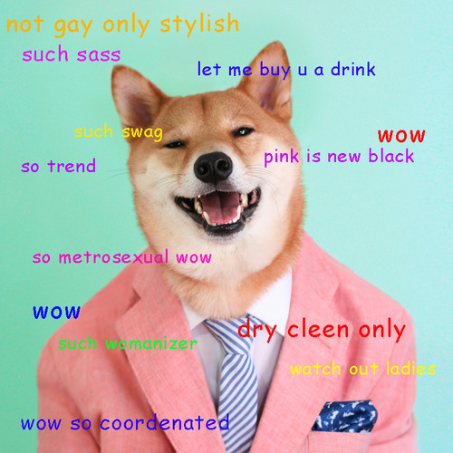 OT: Wow Such Doge | Genius
