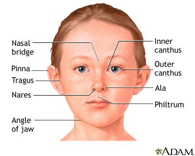 The Philtrum Is The Area Between The Nose And Upper Lip : r/UselessFacts