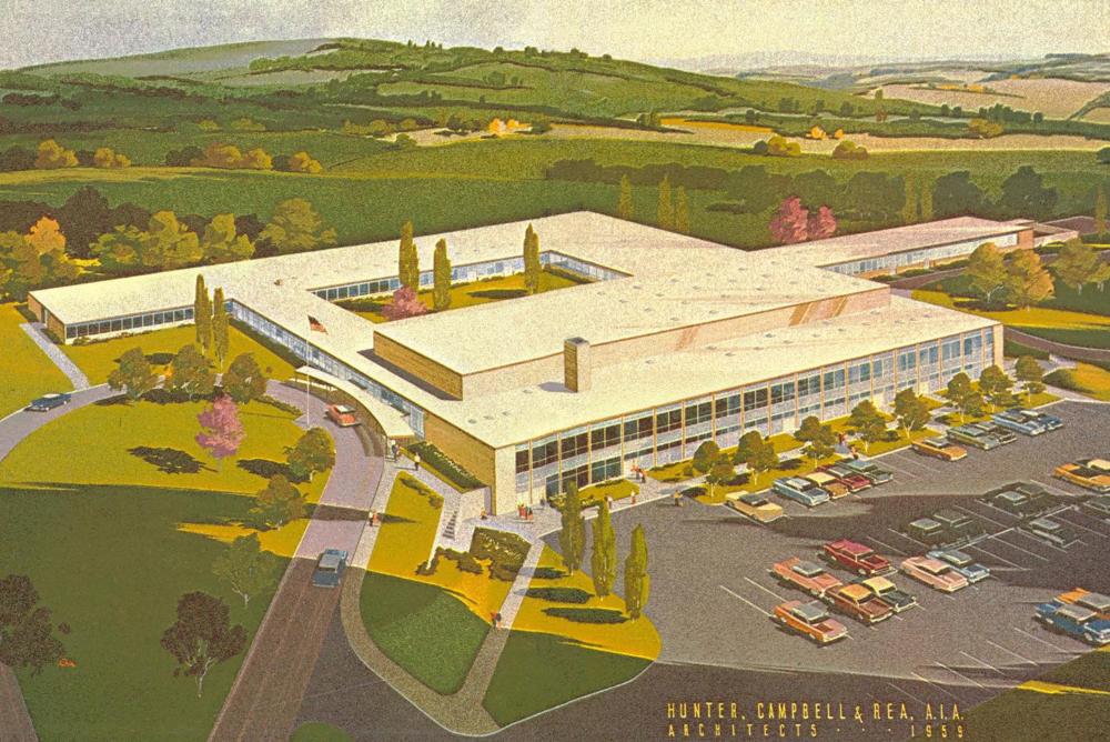 Top 5 favourite new school | Genius