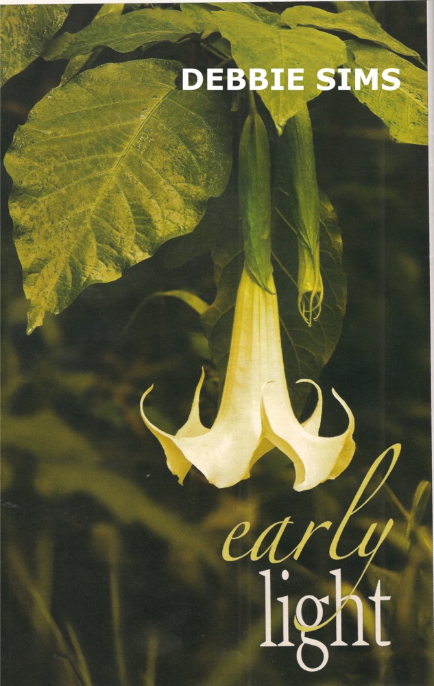 Debbie Sims – Early Light Lyrics | Genius Lyrics