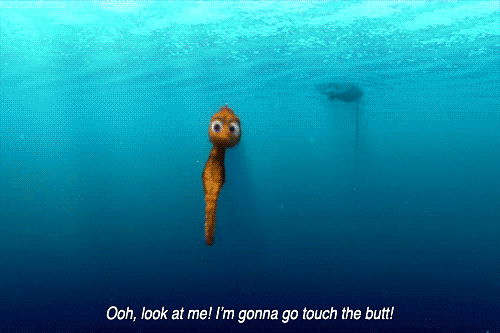 Finding Nemo Touching The Boat