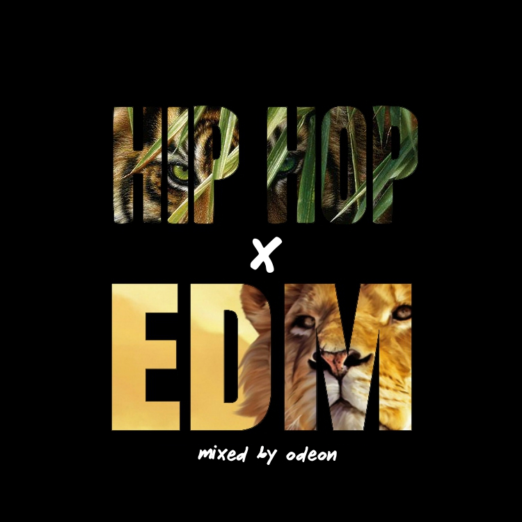 Just dropped new mixtape: Hip hop x EDM | Genius