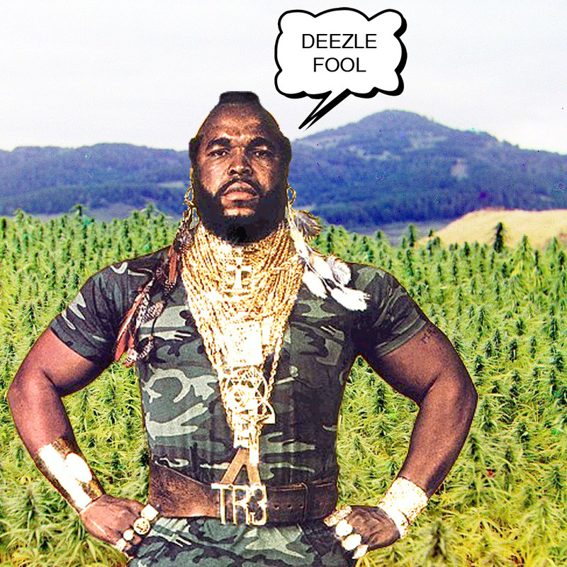 Cartoon D – Deezle Fool Lyrics | Genius Lyrics