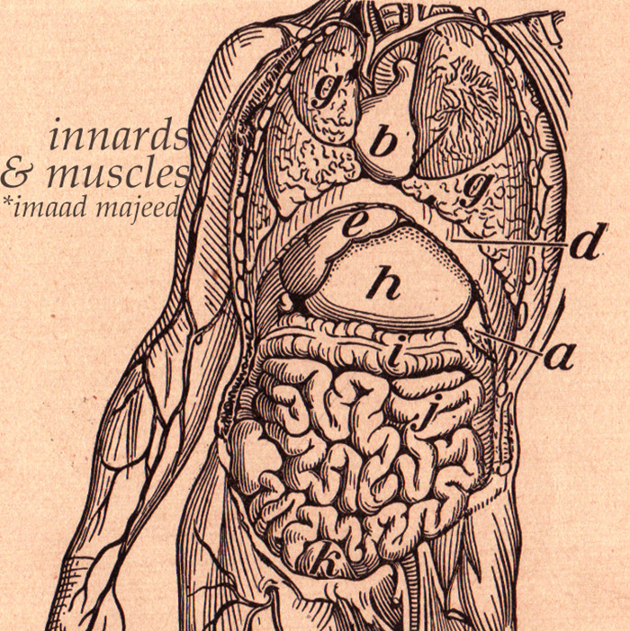 *imaad majeed – Innards & Muscles Lyrics | Genius Lyrics