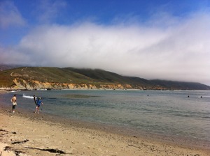 Stephen Sansom | Genius