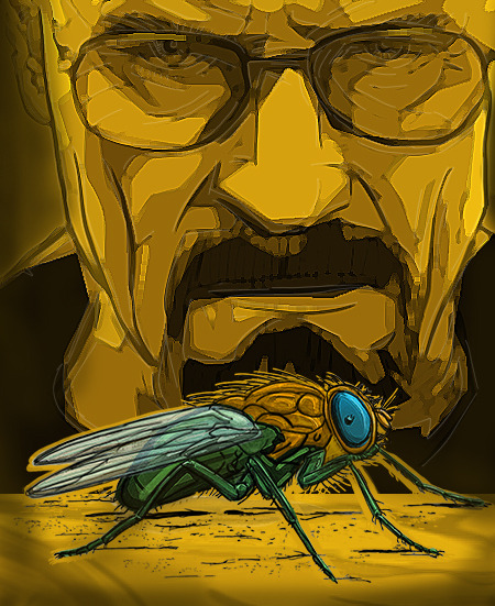 Breaking Bad – Fly | Genius