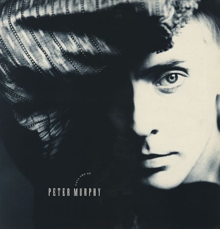 Peter Murphy – Cuts You Up Lyrics | Genius Lyrics