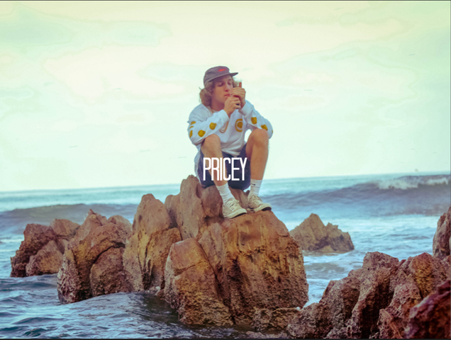 Felly – Pricey Lyrics | Genius Lyrics