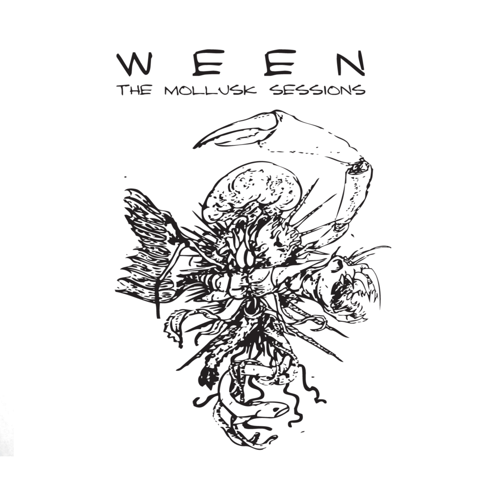 Ween – Kim Smoltz Lyrics | Genius Lyrics
