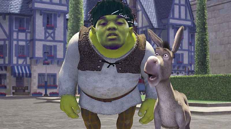 Shrek Lee | Genius