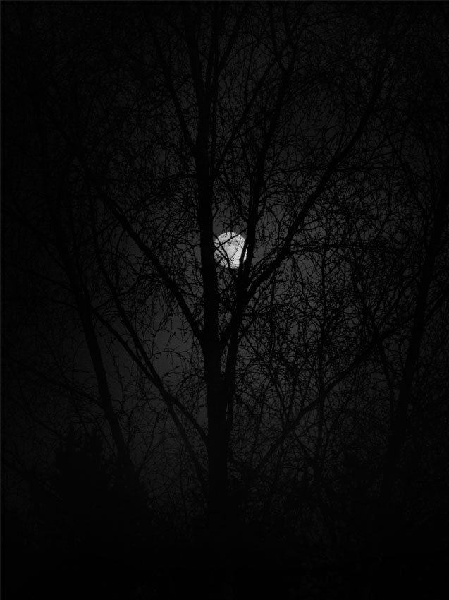 Walt Whitman – A Clear Midnight | Genius