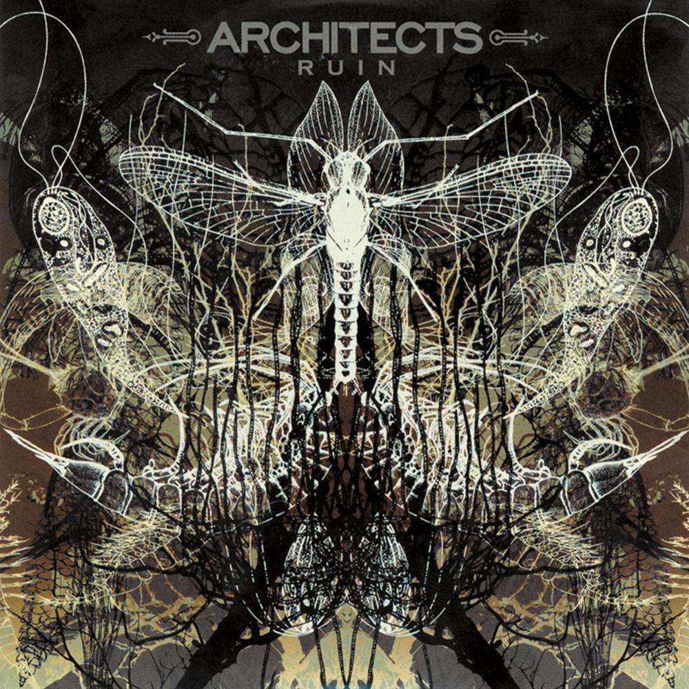 Architects – You'll Find Safety Lyrics | Genius Lyrics