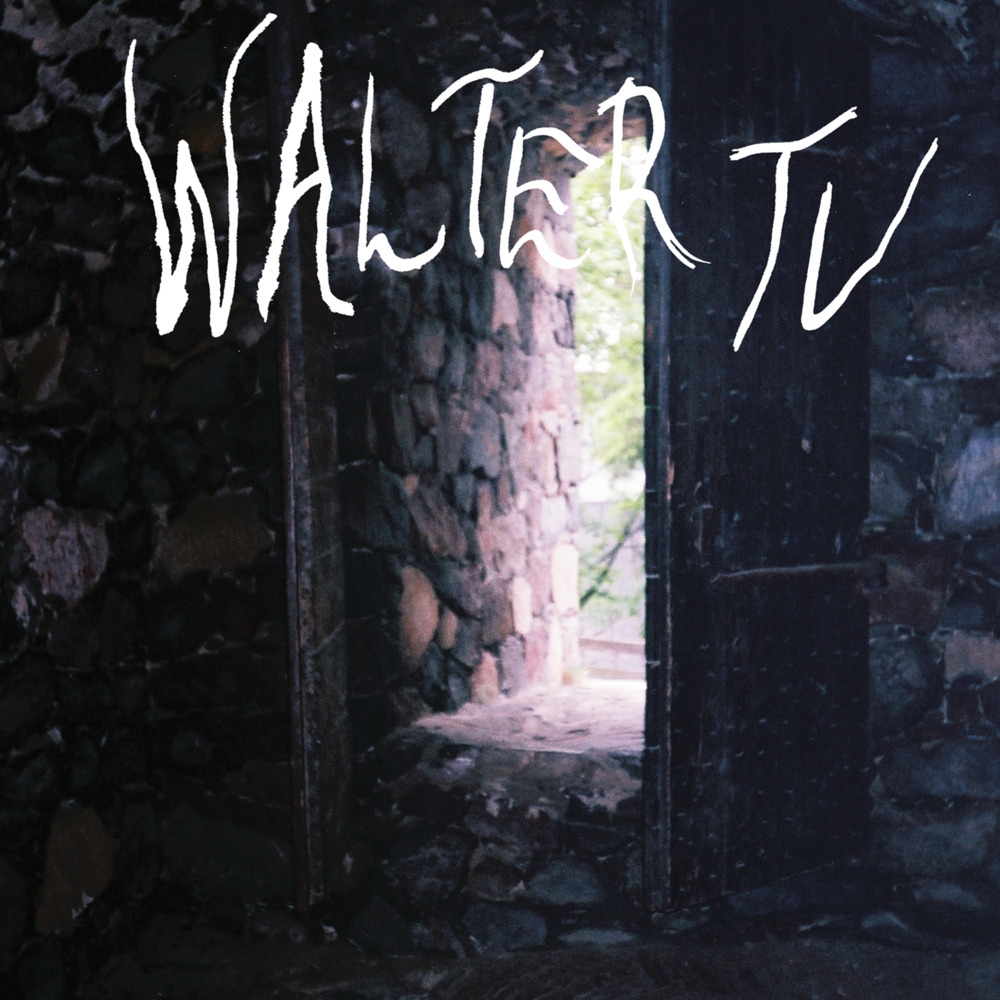 Walter tv – FAN Lyrics | Genius Lyrics