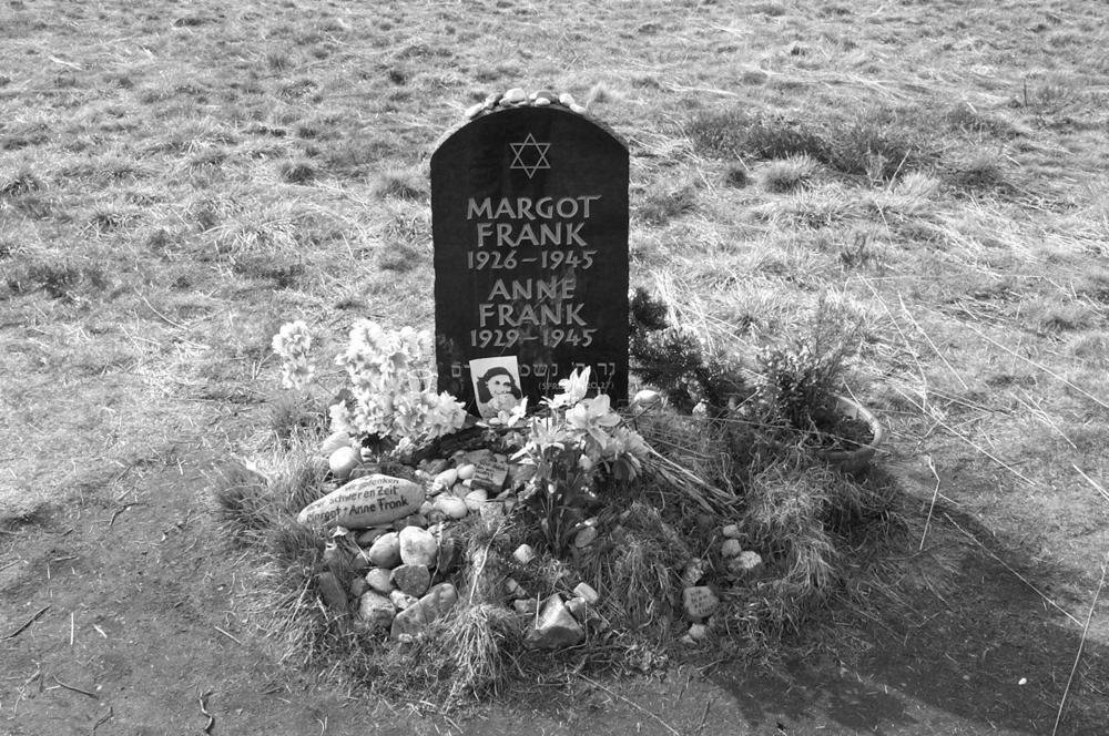 Neutral Milk Hotel Two Headed Boy Lyrics Genius