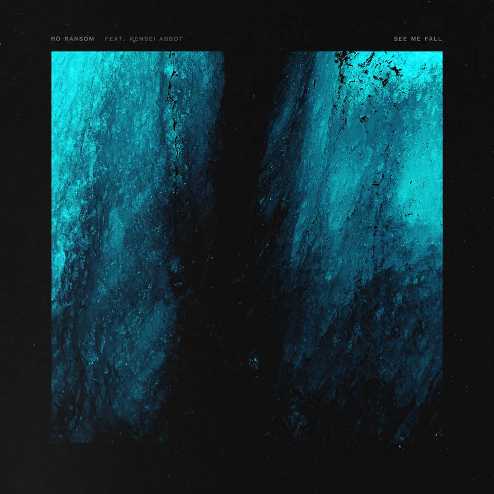 Ro Ransom – See Me Fall Lyrics | Genius Lyrics