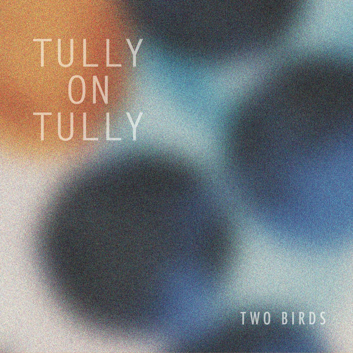 Tully on Tully – Two Birds Lyrics | Genius Lyrics