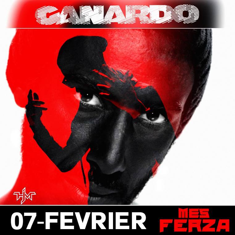 Canardo – Mes Ferza Lyrics | Genius Lyrics