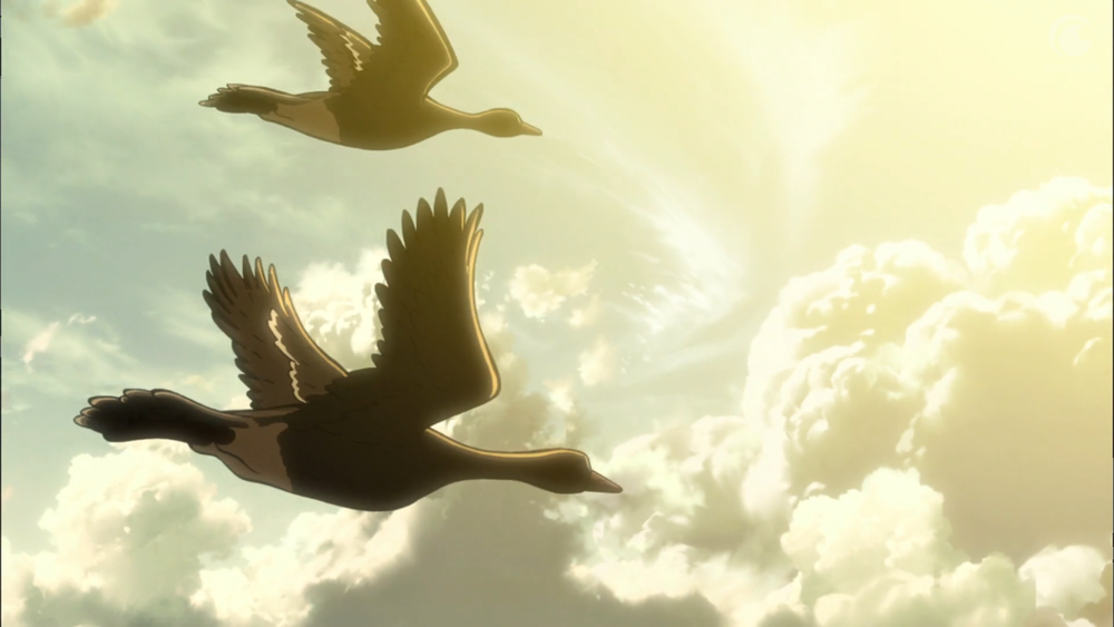 Focus on birds – The Fall of Shiganshina Part 1 by Attack on Titan